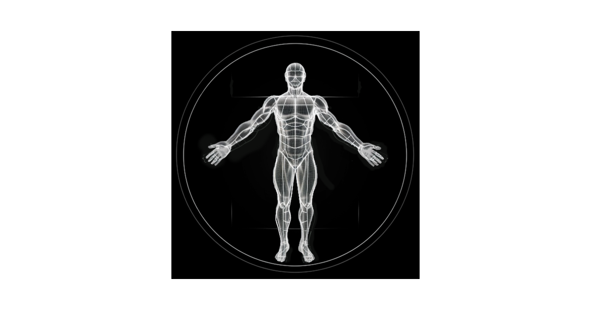 BodBot - Desktop App for Mac, Windows (PC) - WebCatalog