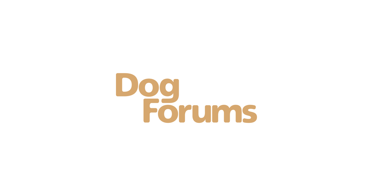 Dog Forums - Desktop App for Mac, Windows (PC) - WebCatalog