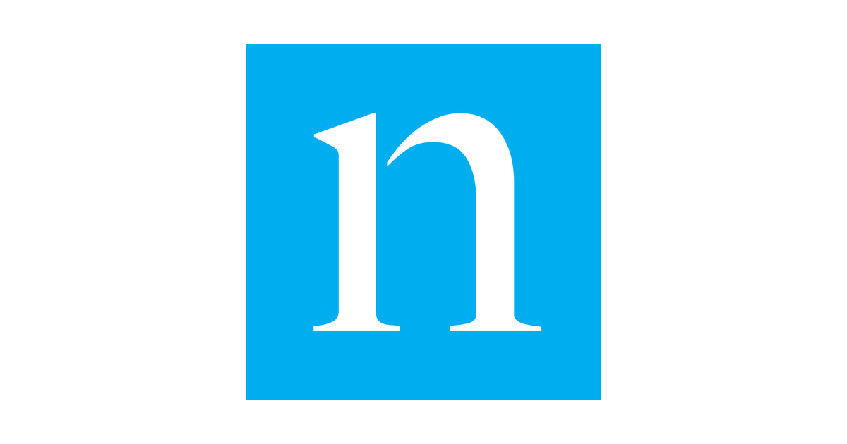 Nielsen N Logo